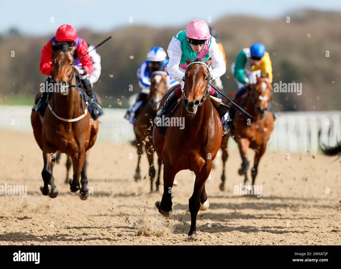 Fire Demon ridden by Oisin Murphy wins the BetMGM All-Weather 3 Year ...