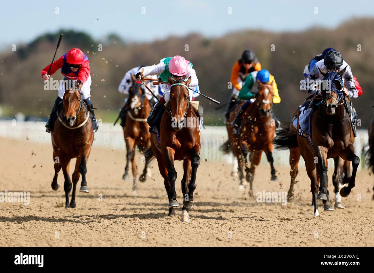 Fire Demon ridden by Oisin Murphy wins the BetMGM All-Weather 3 Year ...
