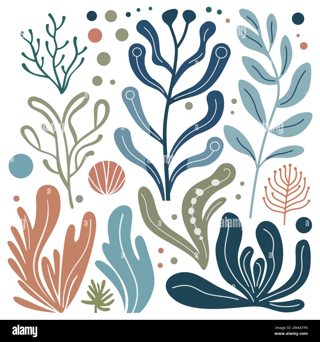 Seaweed icons set. Different cute colored algae. Sea plants icon ...