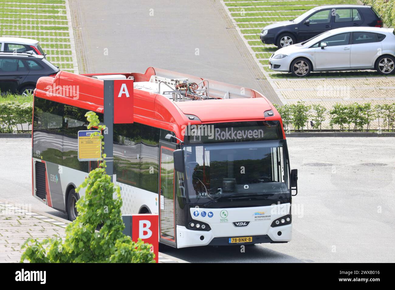 White red buses for EBS's regional service in Zoetermeer at ...