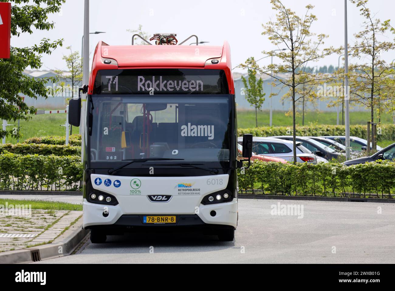 White red buses for EBS's regional service in Zoetermeer at ...