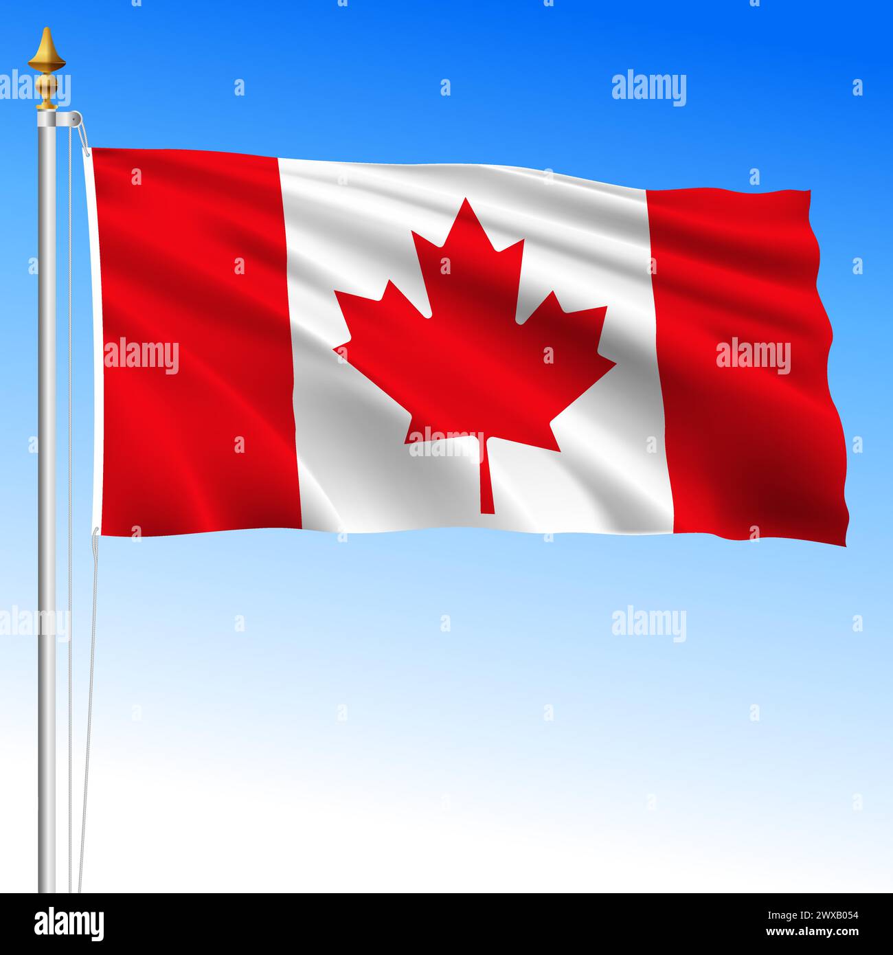 Canadian official waving flag, North America, vector illustration, maple leaf Stock Vector Image ...