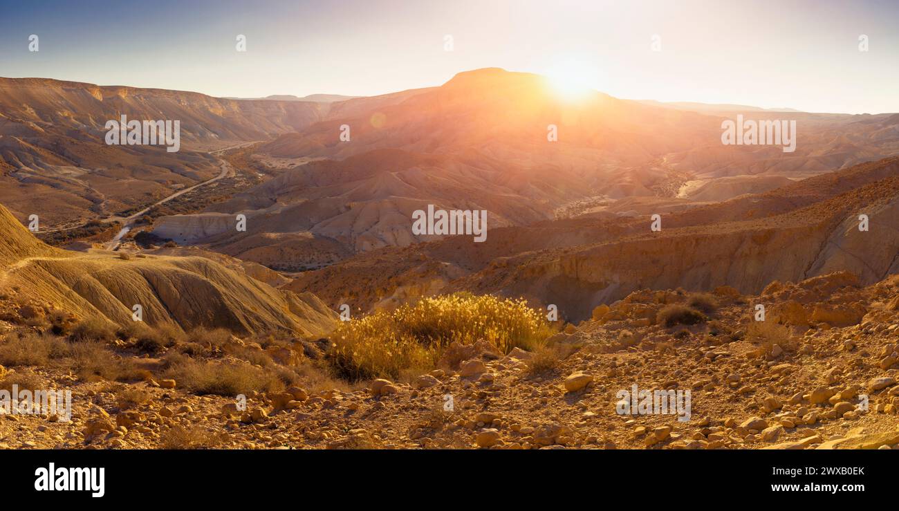 Sde Boker, Negev desert, Israel - Panoramic Shot, Sunset / Sunrise Time Stock Photo - Alamy