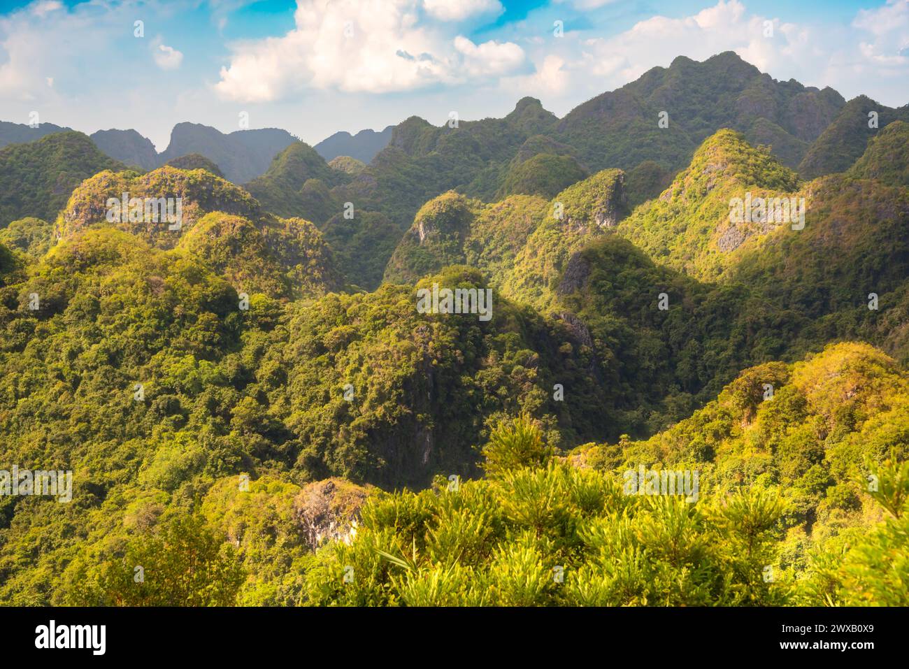 Cat Ba island in Vietnam. Green mountains with tropical rainforest ...