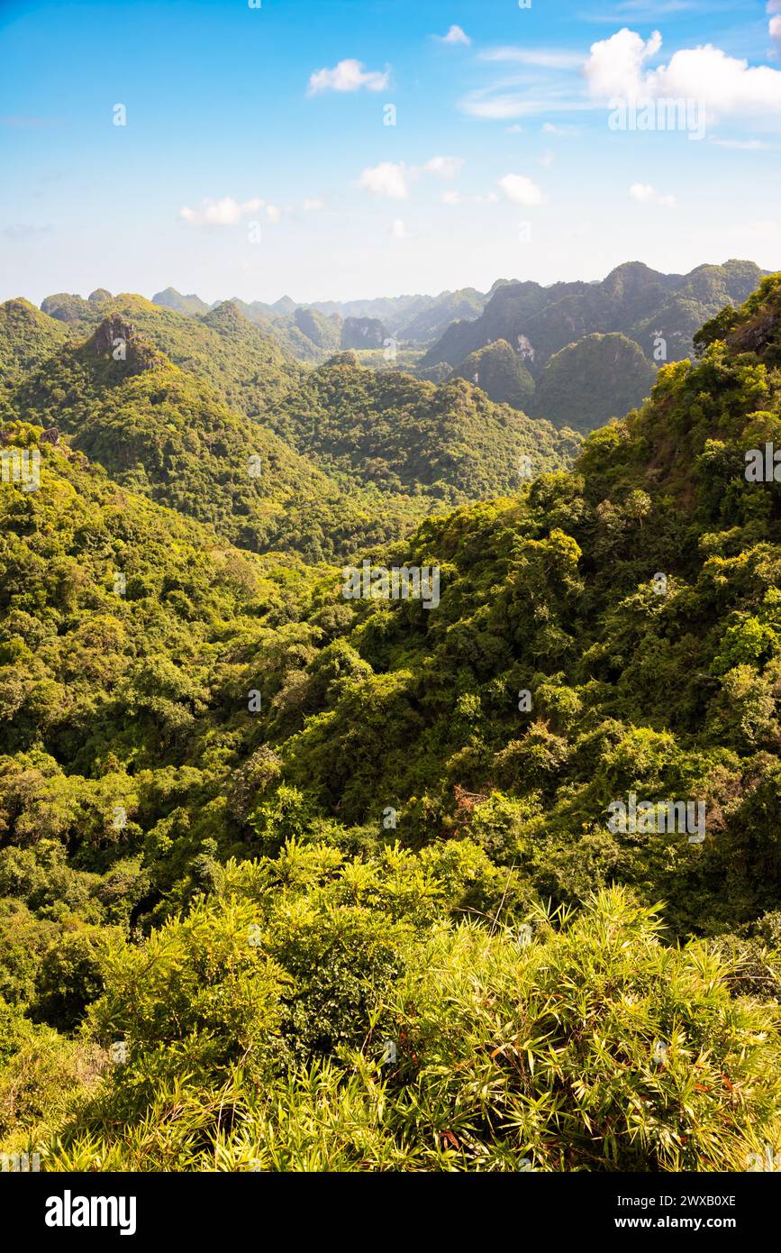 Cat Ba island in Vietnam. Green mountains with tropical rainforest ...