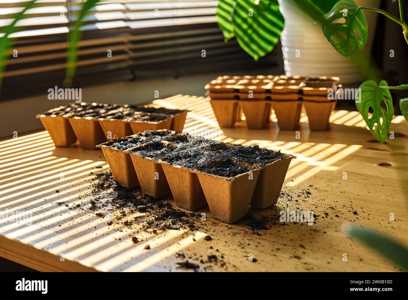 Pastime products hi-res stock photography and images - Alamy