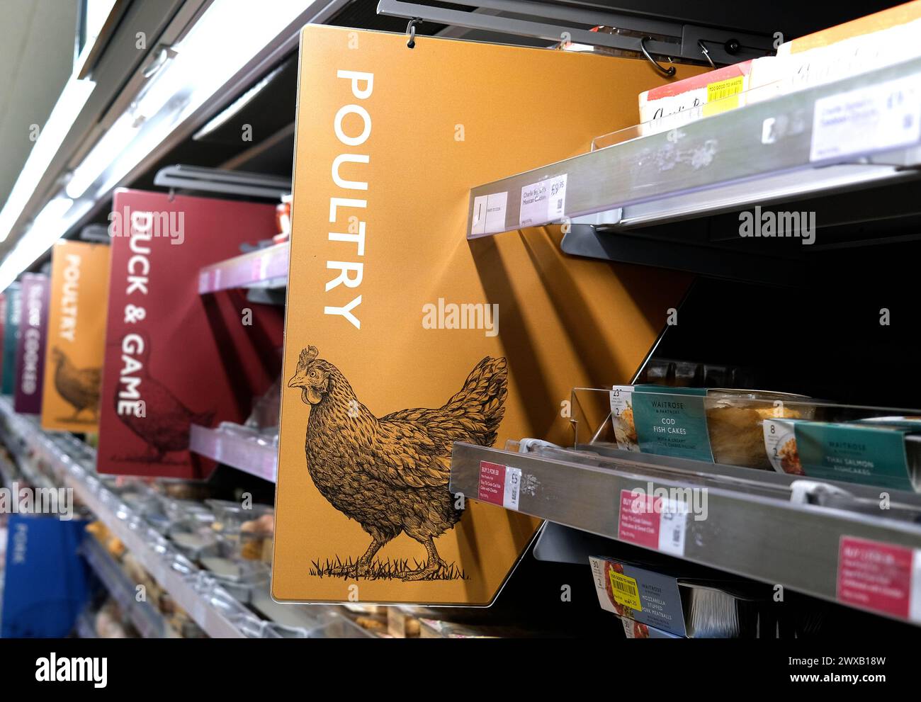 waitrose supermarket branch,interior,ramsgate town,east kent,uk march ...