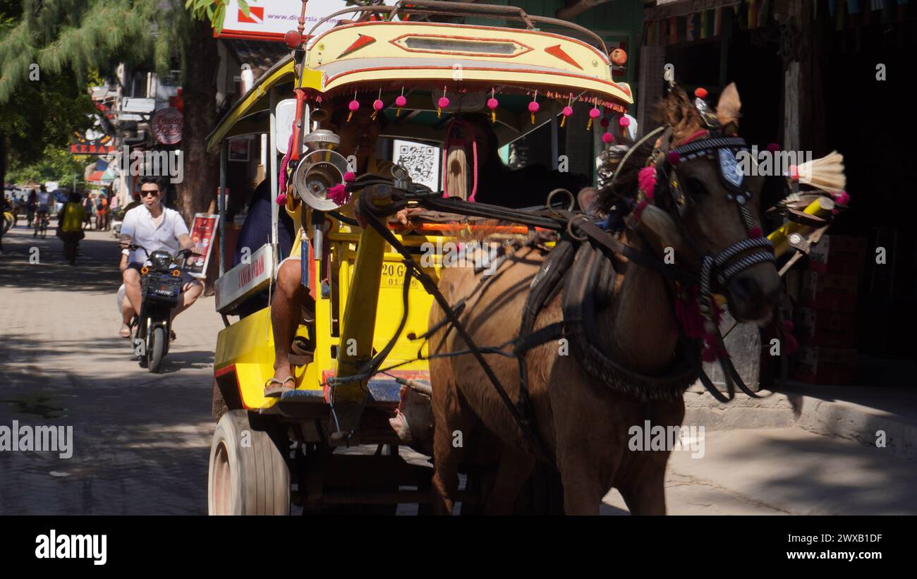 Traditional transportation on the island of Gili Trawangan is called ...