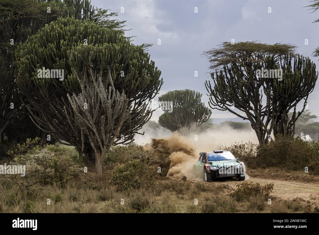 30 VIRANI Aakif, SHAH Zahir, SKODA FABIA Rally2, actionduring the ...