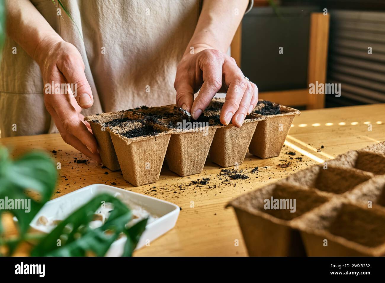 Preparation for sowing seed or planting hi-res stock photography and ...