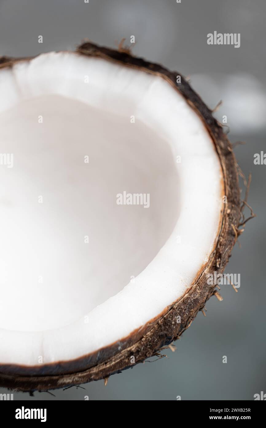 Macro coconut pulp and coconut husk on grey background Stock Photo - Alamy