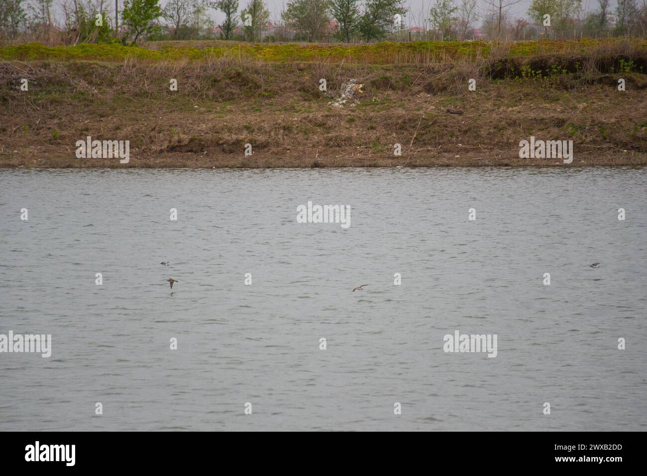 A quiet day in the nature of the lake Rasht, Gilan province, Iran Stock ...