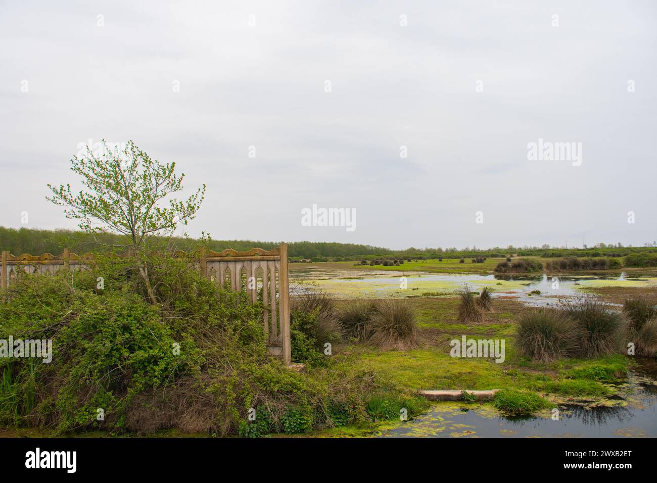 A quiet day in the nature of the lake Rasht, Gilan province, Iran Stock ...