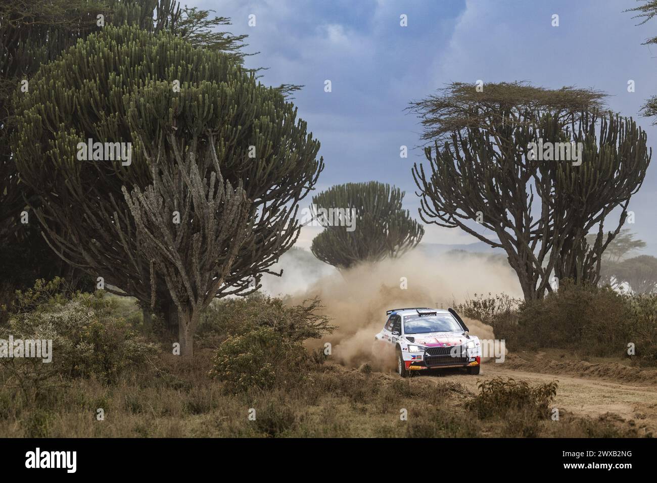 31 Miguel DIAZ ABOITIZ, Rodrigo SANJUAN, Skoda Fabia RS Rally2, actionduring the Safari Rally ...