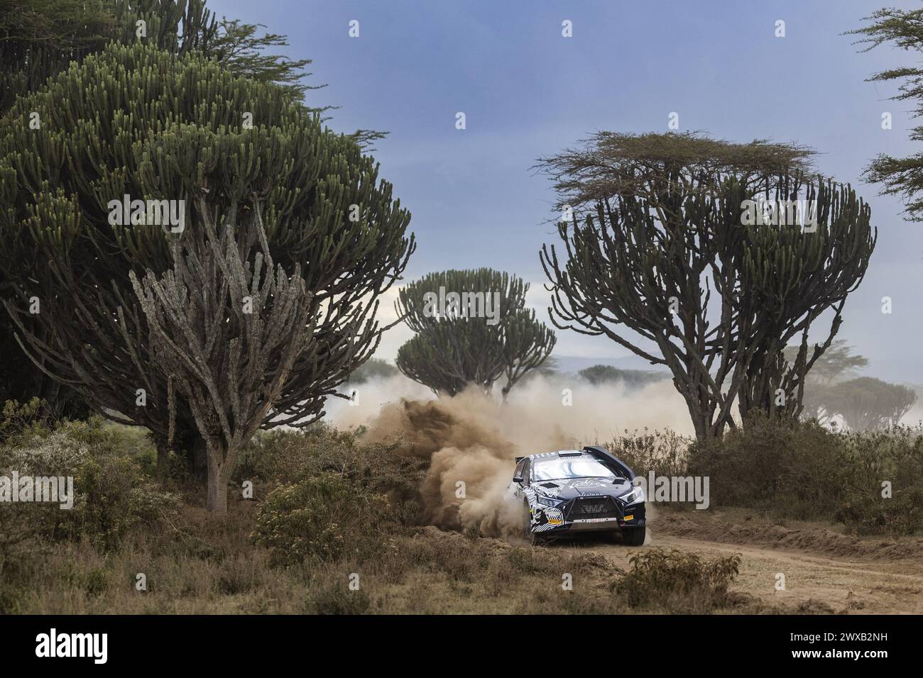 25 MUNSTER Charles, DUMONT Loic, Hyundai I2O Rally2, actionduring the ...