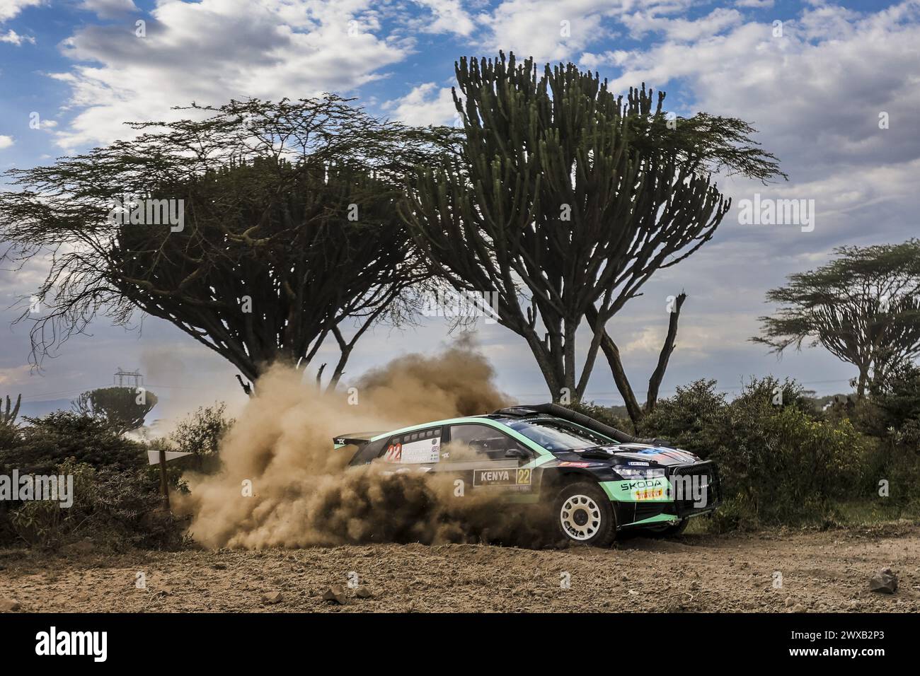 22 GREENSMITH Gus, ANDERSSON Jonas, Skoda Fabia RS Rally2, actionduring ...