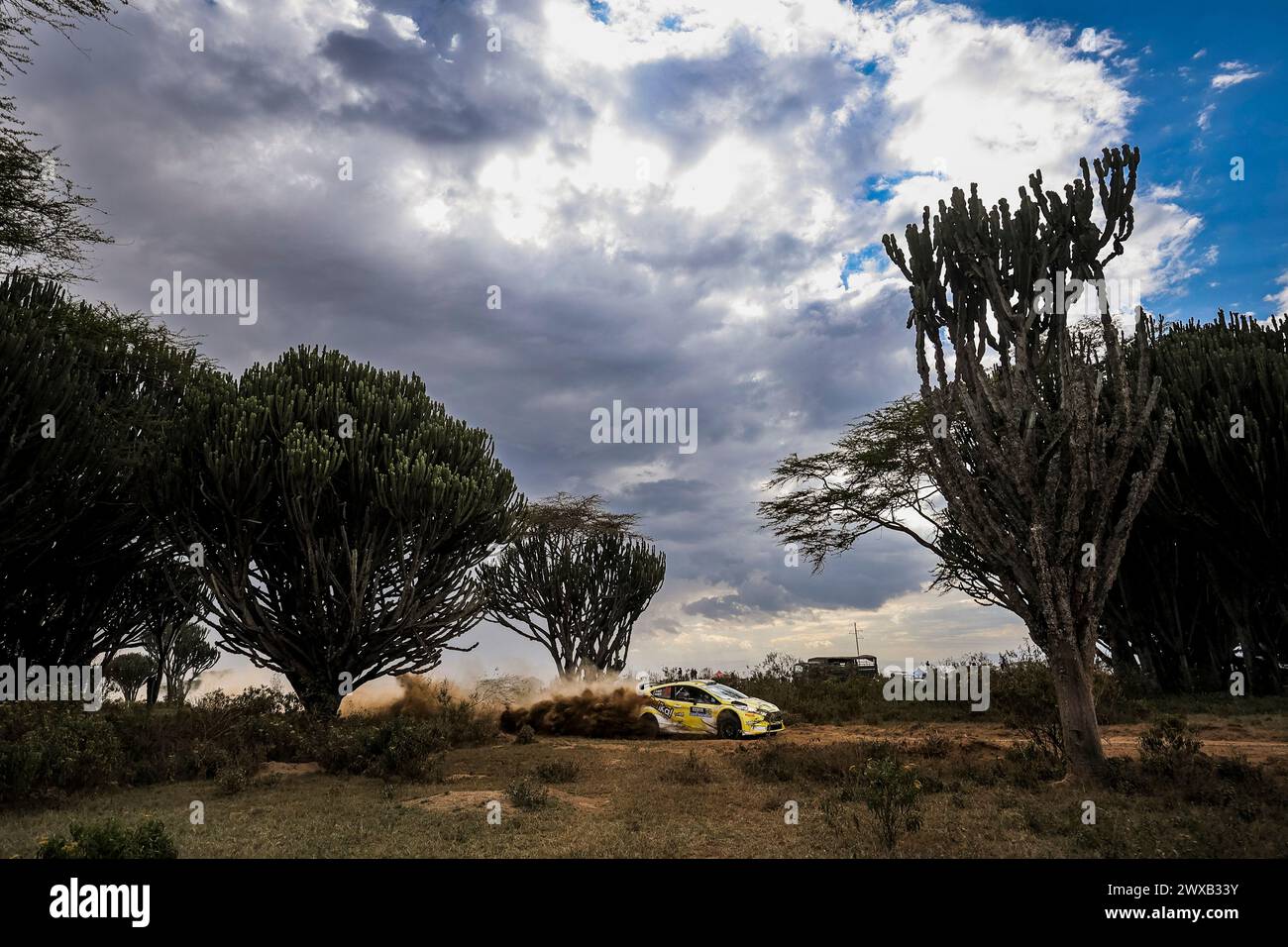 Carl tundo hi-res stock photography and images - Alamy