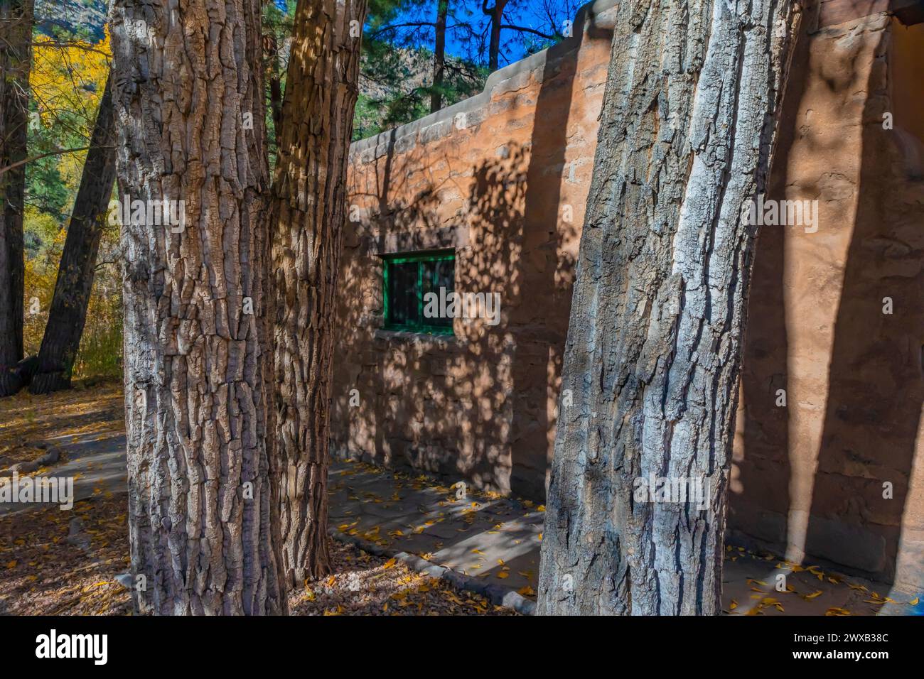 Cottonwood and shadows on headquarters complex constructed by the CCC ...