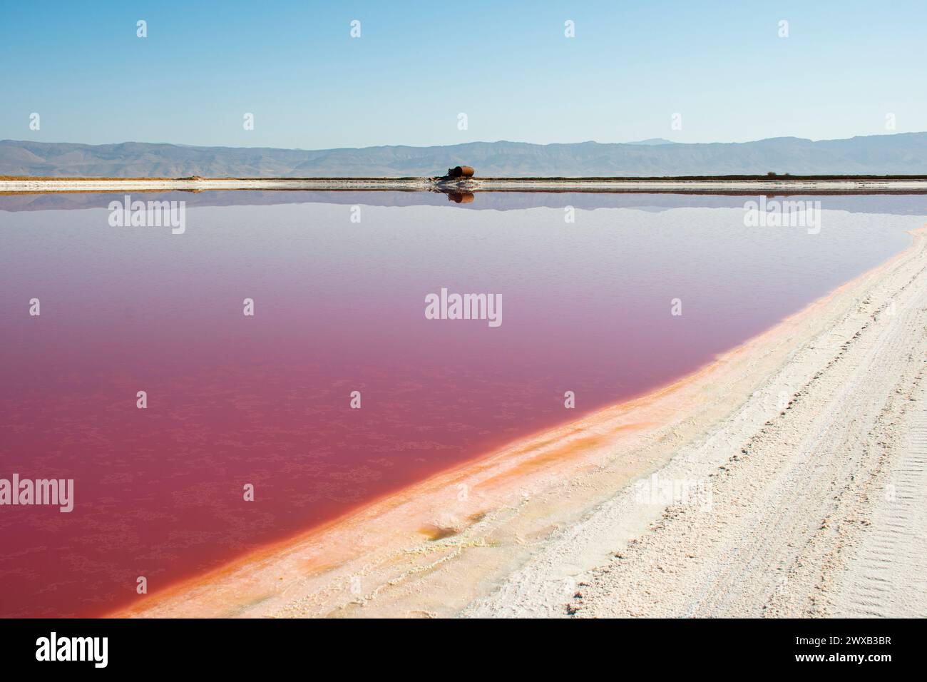 Dried up salt lake in summer and pink salt pools in Maharlu region near ...