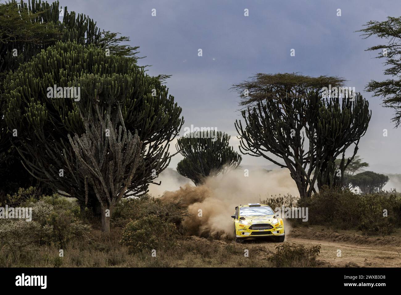 24 TUNDO Carl, JESSOP Timothy, Ford Fiesta Mk II Rally2, actionduring ...