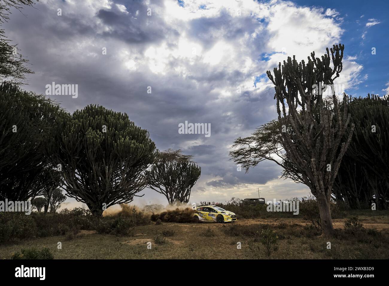 24 TUNDO Carl, JESSOP Timothy, Ford Fiesta Mk II Rally2, actionduring ...