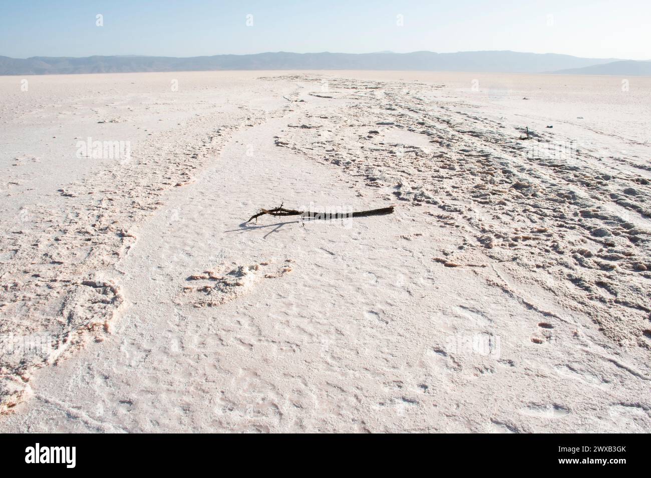Dried up salt lake in summer and pink salt pools in Maharlu region near ...