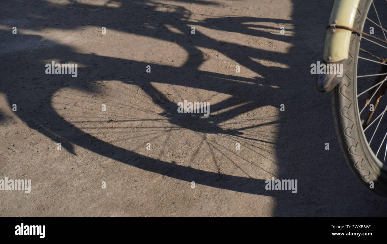 Shadows from a bicycle wheel in the evening Stock Photo - Alamy