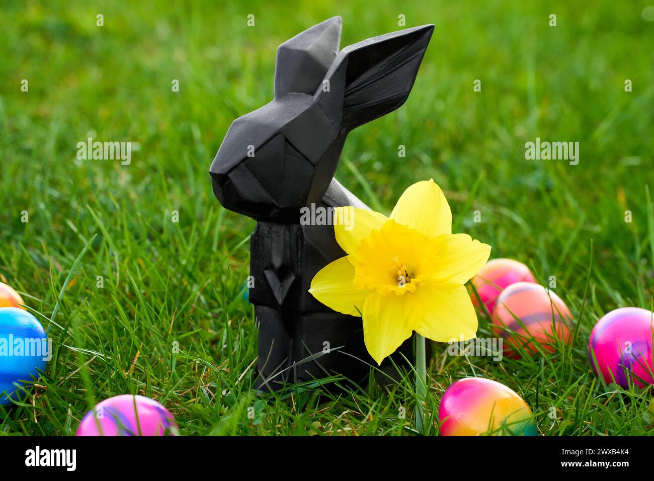 25 March 2024: A noble black Easter bunny sits in a green meadow next ...