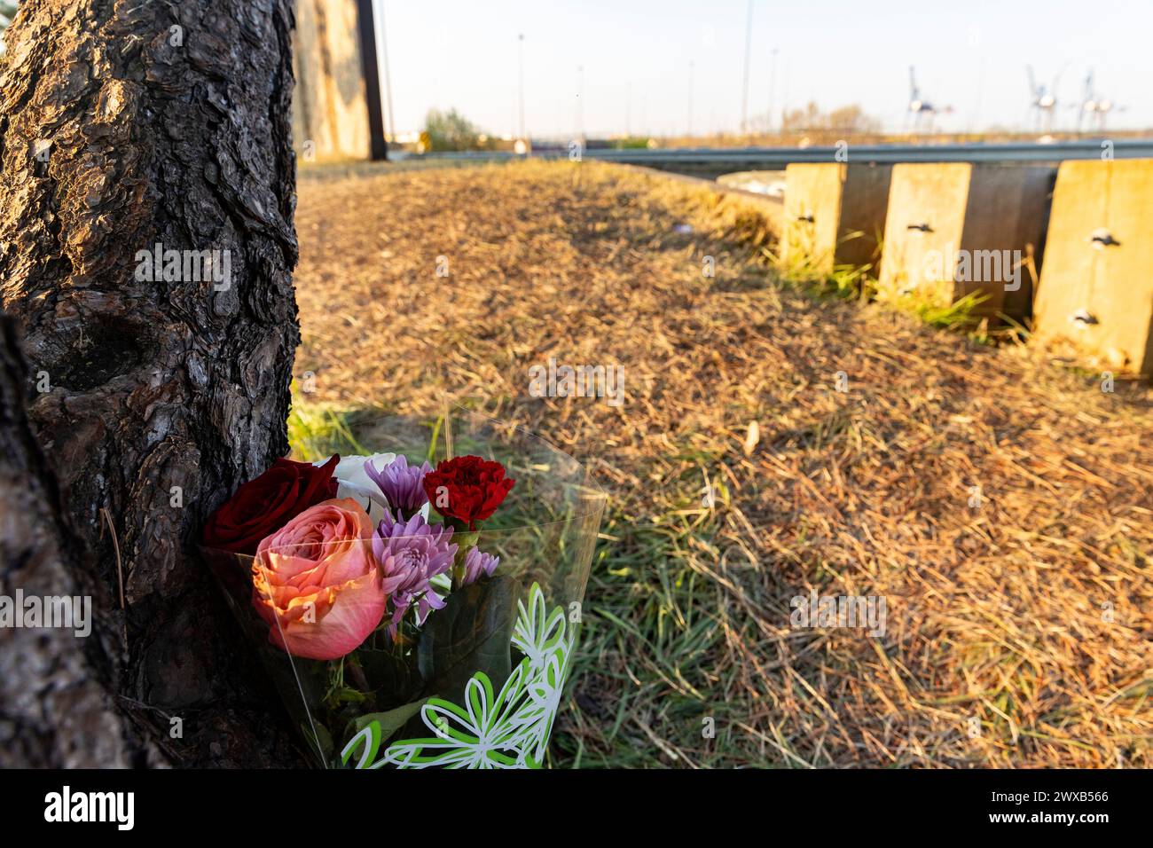 Dundalk, United States. 29th Mar, 2024. A makeshift memorial for ...