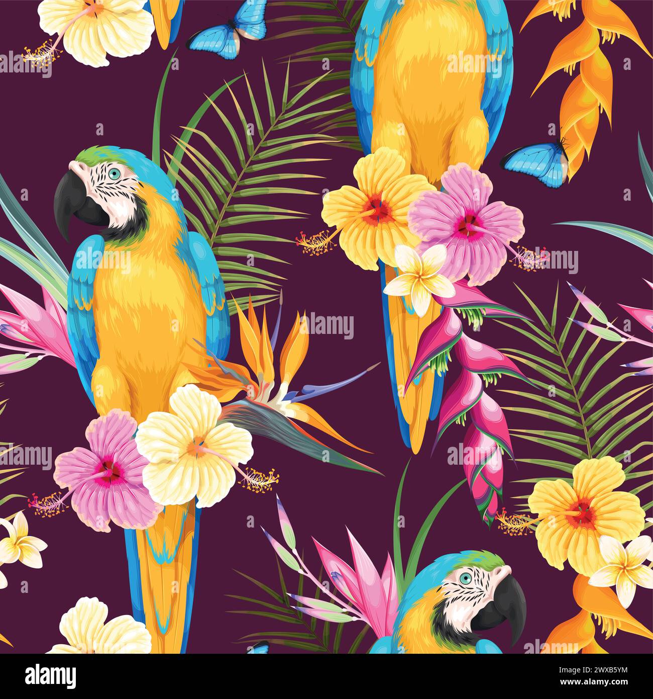 Macaw flowers hi-res stock photography and images - Alamy