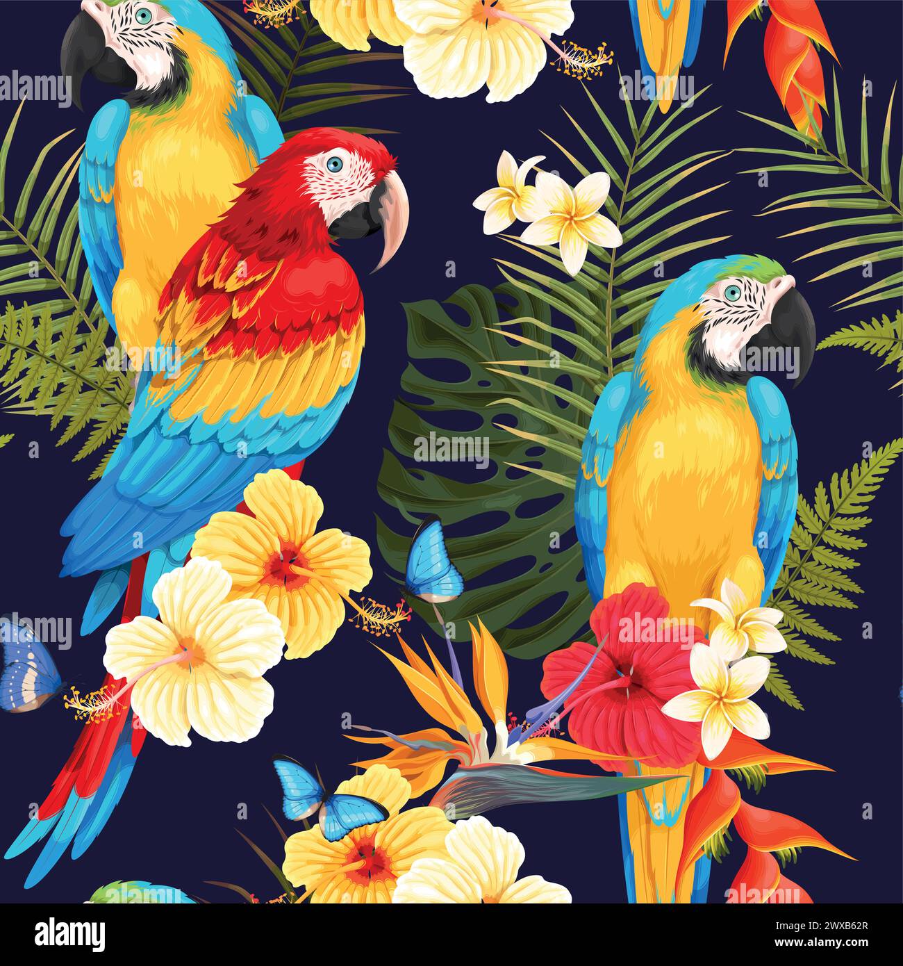 Macaw in brazil Stock Vector Images - Alamy