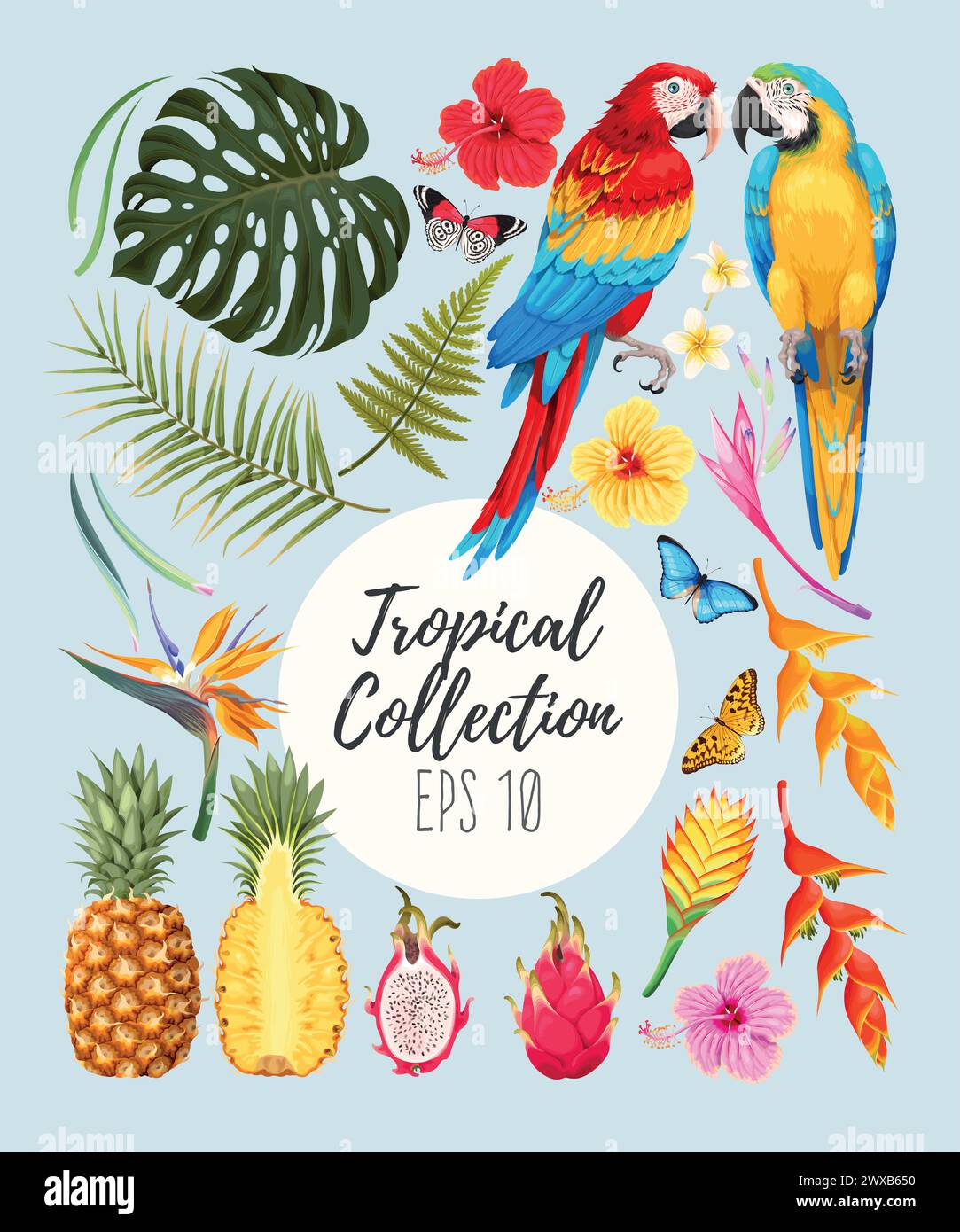 Tropical vector set Stock Vector Image & Art - Alamy