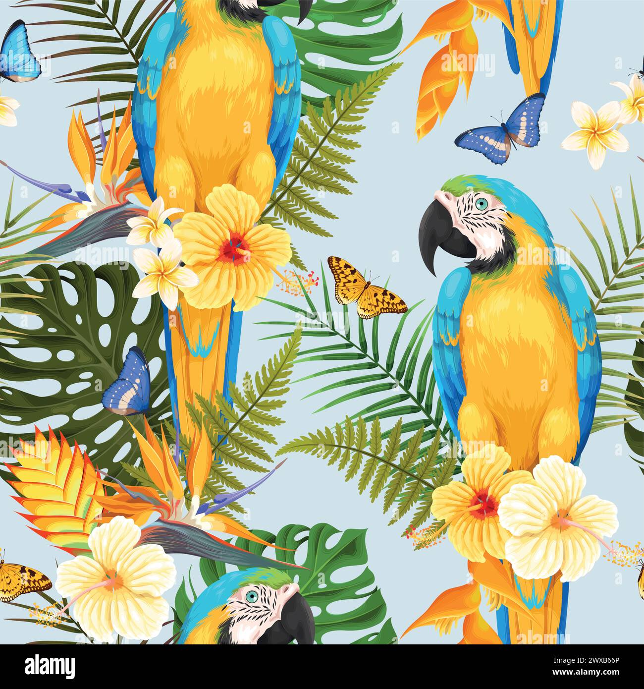 Macaw flowers hi-res stock photography and images - Alamy