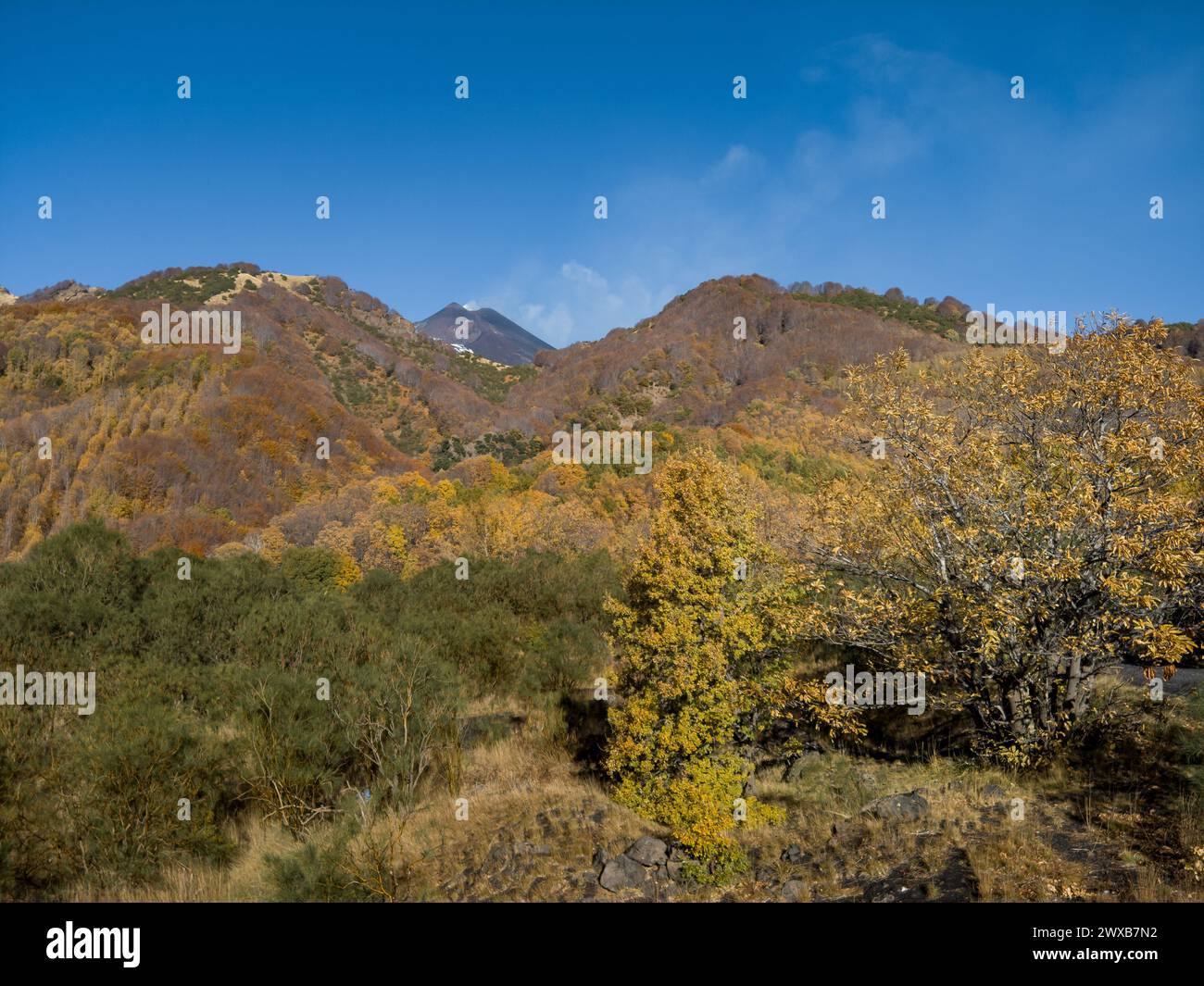 Etna national park landscape, Catania, Sicily. beautiful landscapes in ...
