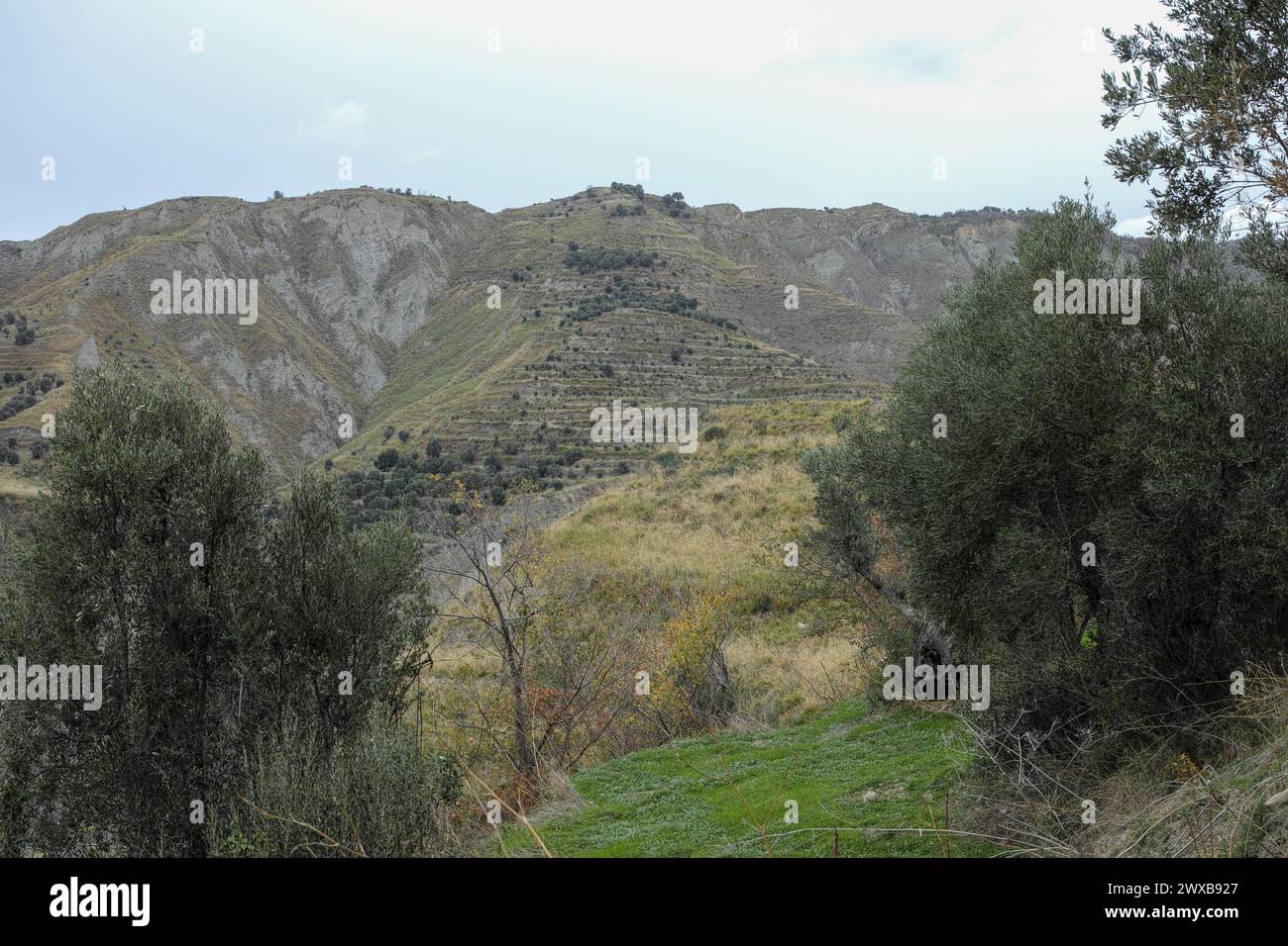 Calabria italy vineyard hi-res stock photography and images - Alamy