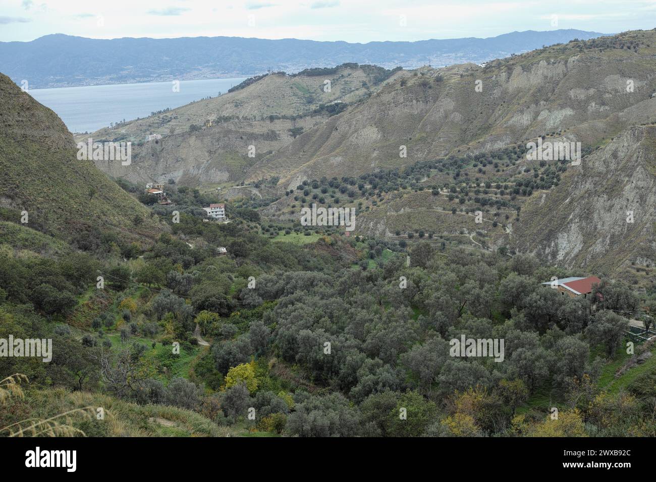 Calabria italy vineyard hi-res stock photography and images - Alamy