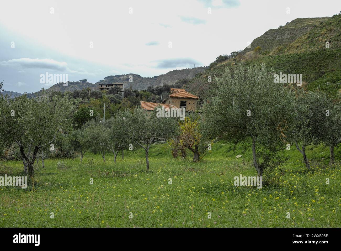 Calabria italy vineyard hi-res stock photography and images - Alamy