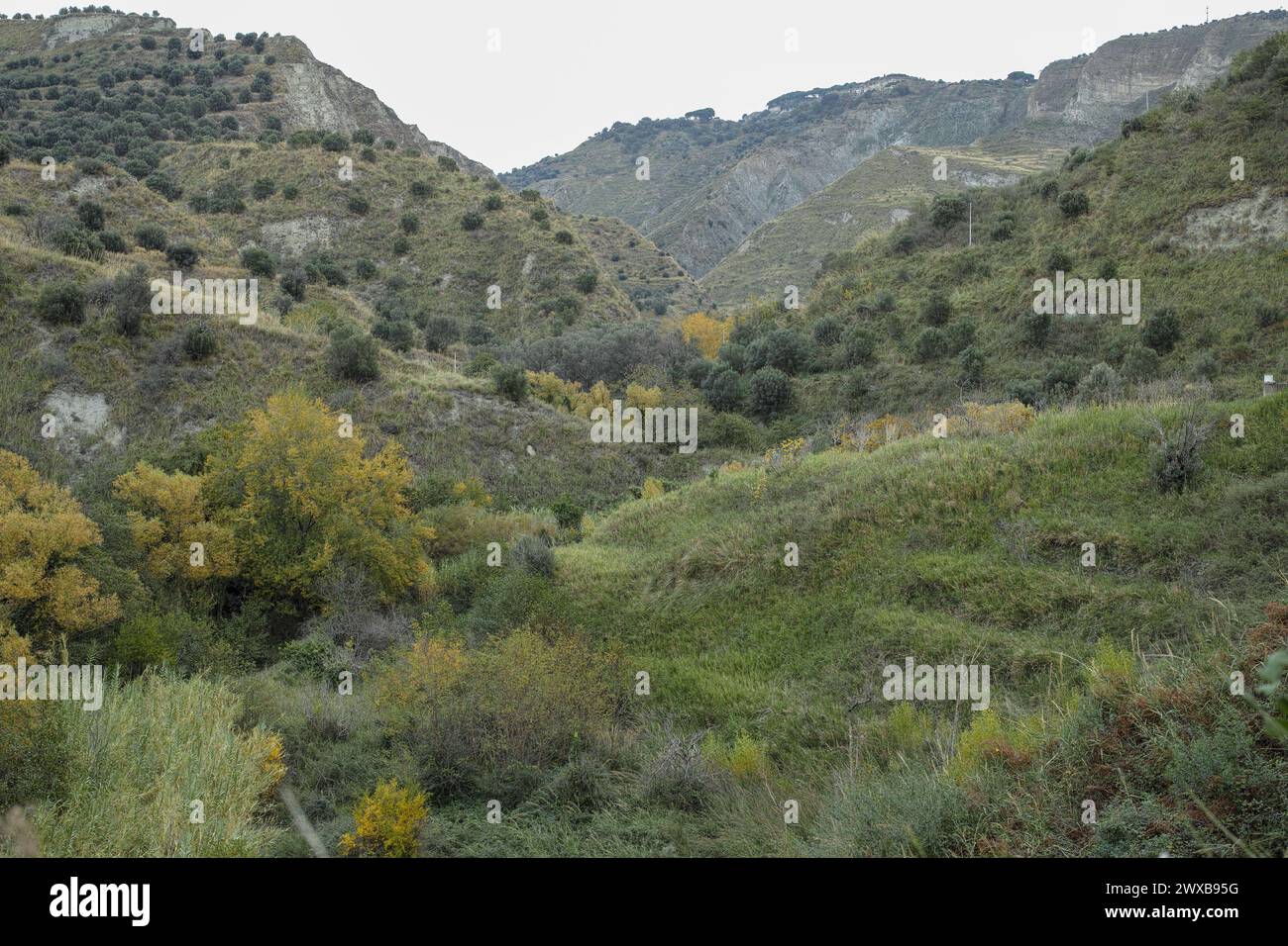 Rural landscape at autumn in Calabria, Italy Stock Photo - Alamy