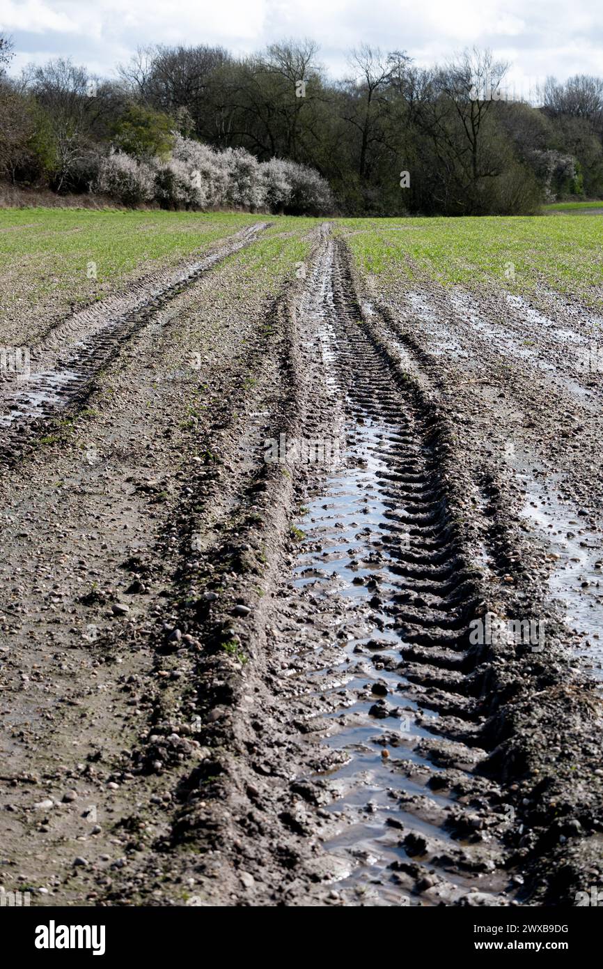 Waterlogged farmland in winter, Warwickshire, England, UK Stock Photo ...