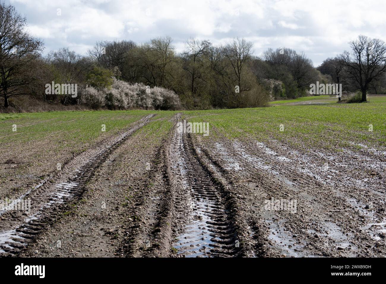 Waterlogged farmland in winter, Warwickshire, England, UK Stock Photo ...