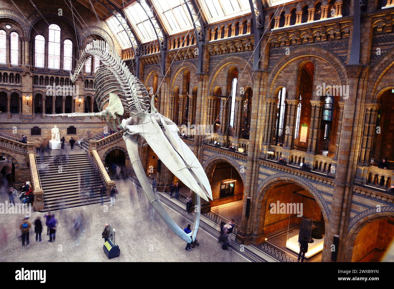 natural history museum Stock Photo - Alamy