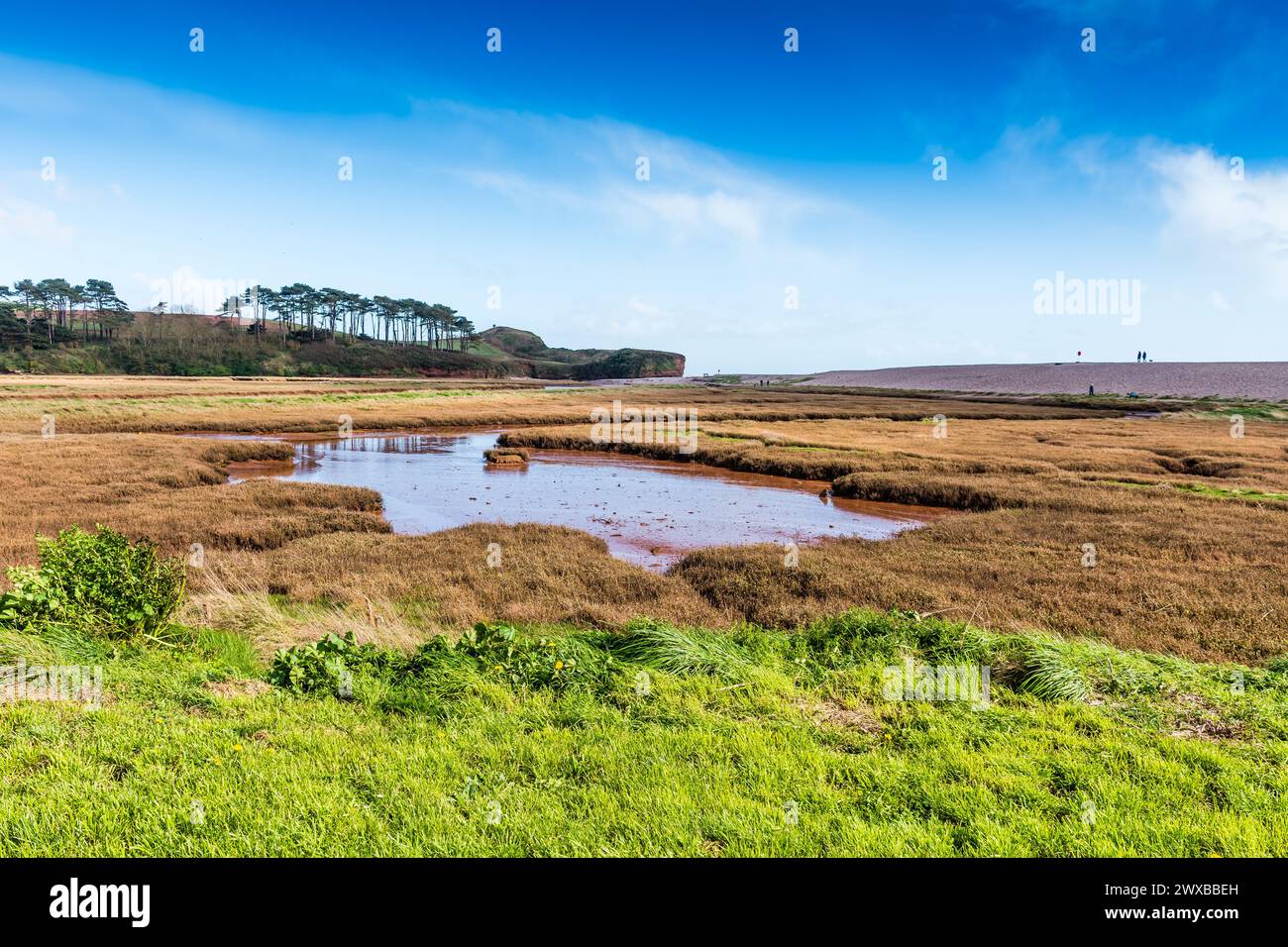 Lower Otter River Restoration Project Stock Photo - Alamy