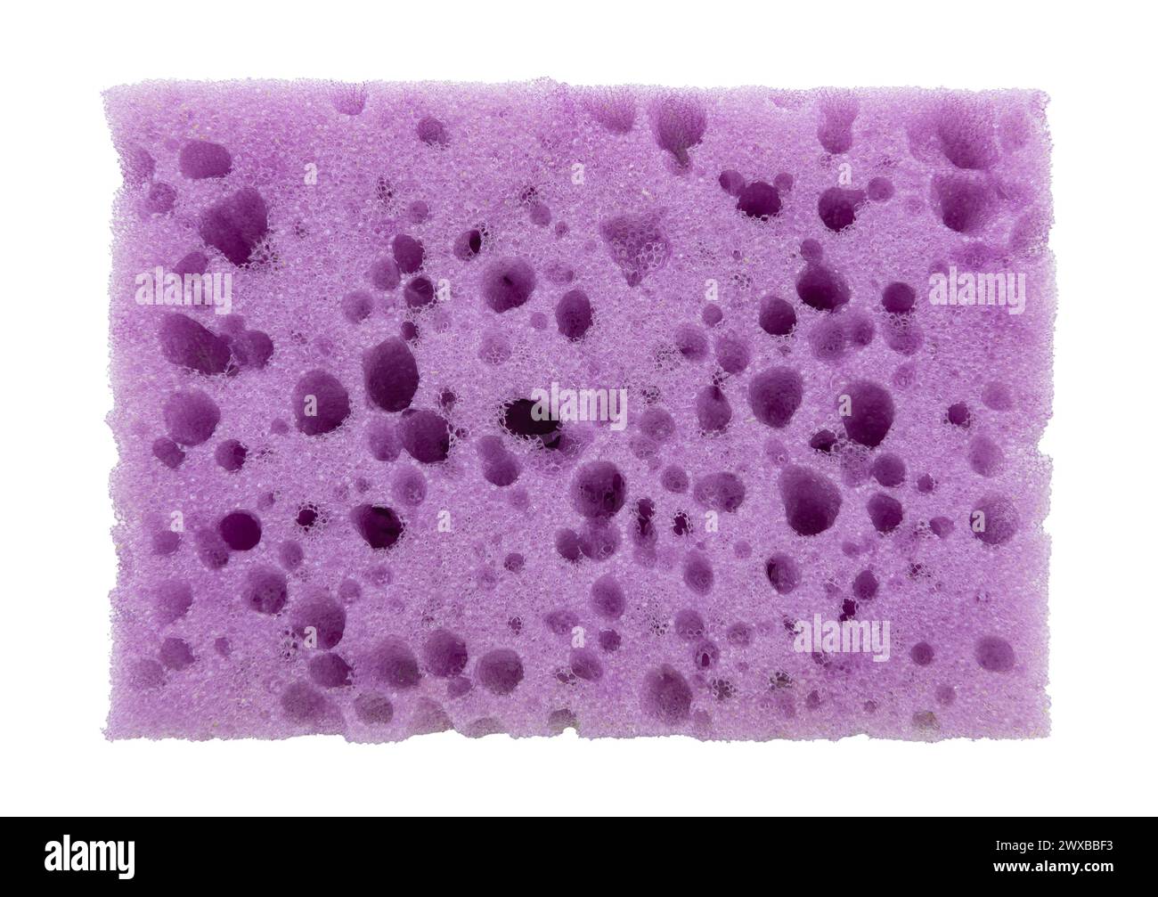 Sponge for washing dishes on a white background close-up. View from ...