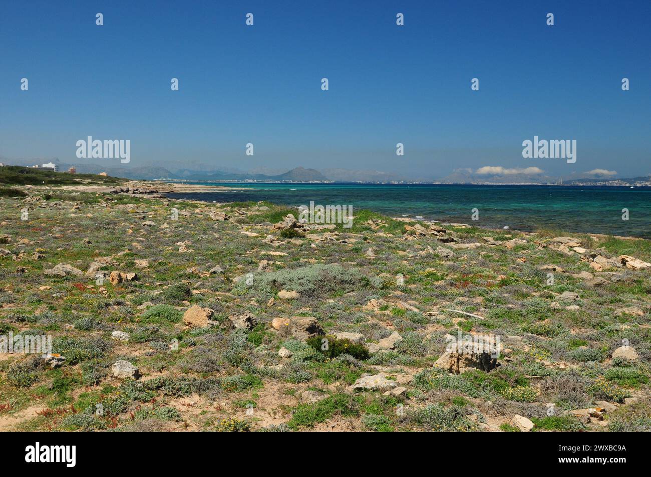 Beautiful Coast With Turquoise Water At The Beach Of San Baulo Mallorca ...