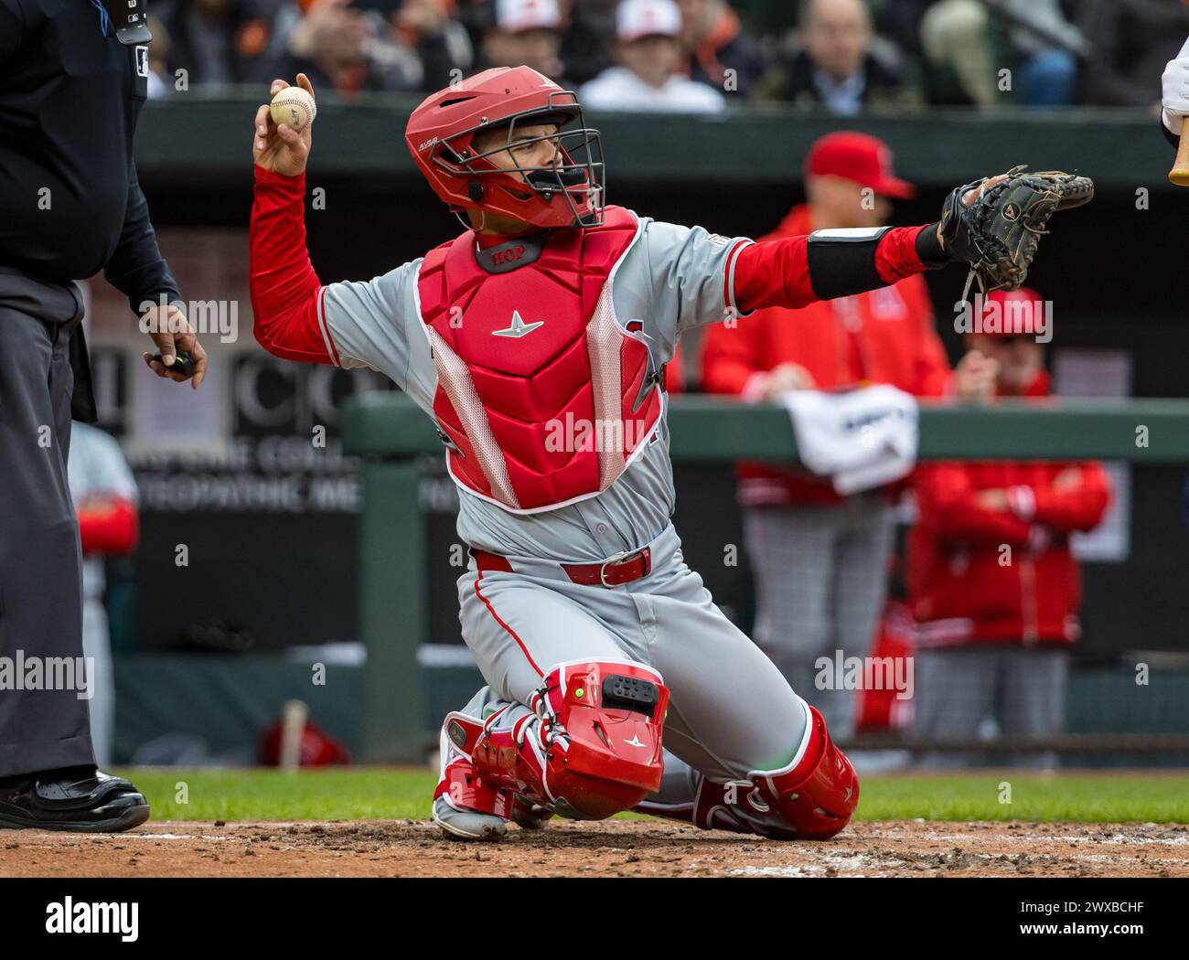 Baltimore, Maryland, USA. 28th Mar, 2024. Los Angeles Angels catcher ...