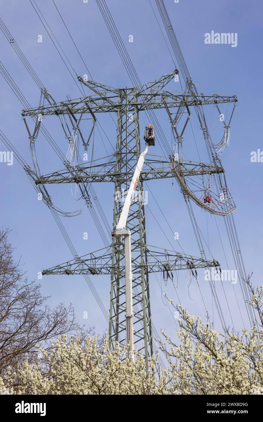 New power line from Birkenfeld to Oetisheim in the Enzkreis district ...