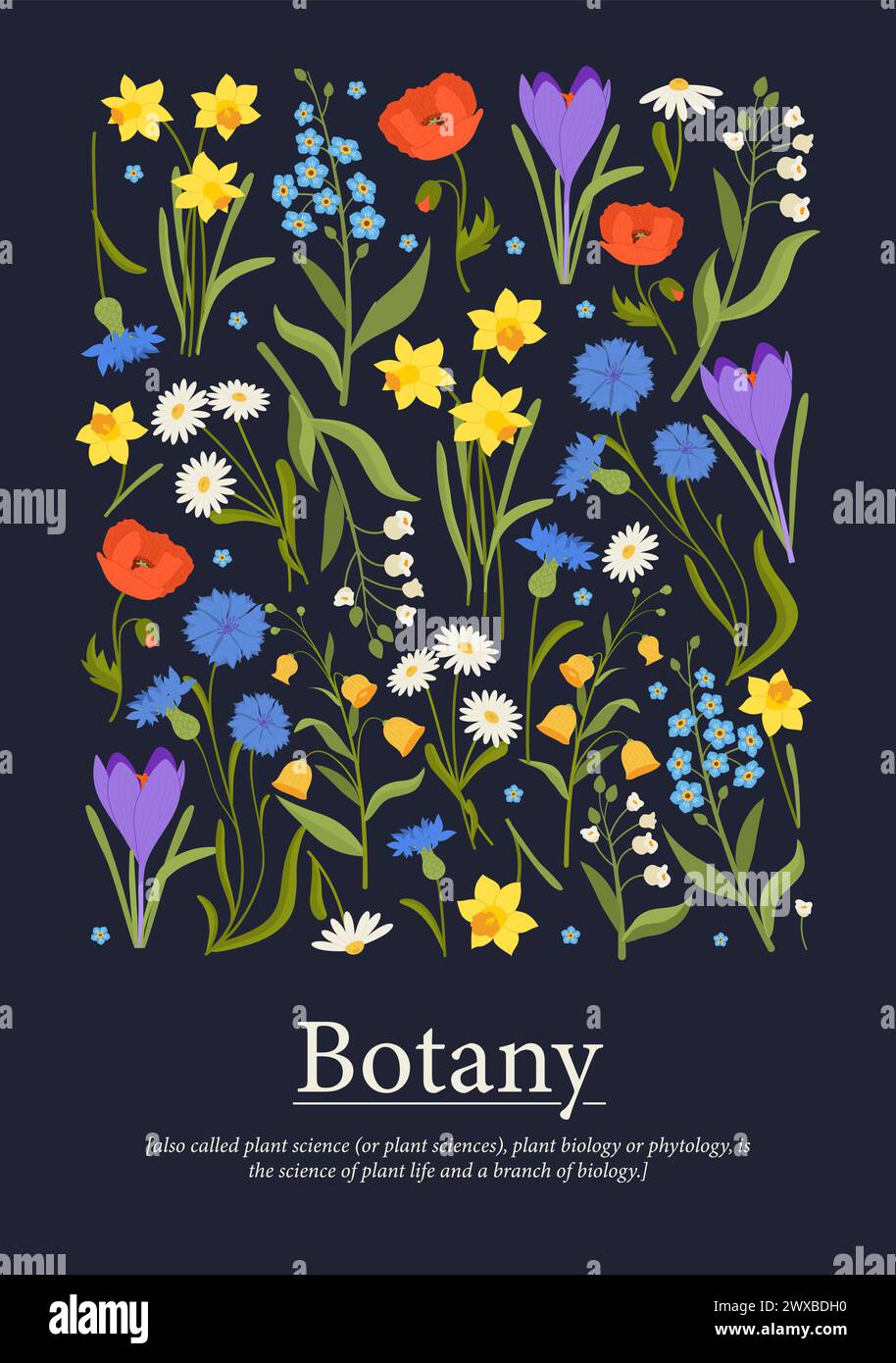 Botany poster vector concept Stock Vector Image & Art - Alamy