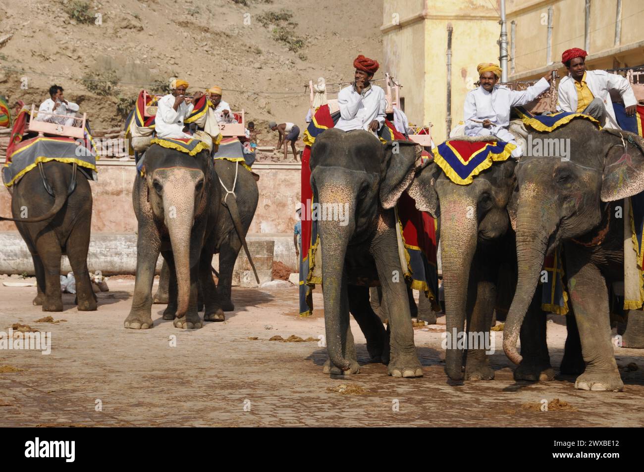 Riding elephants at Amber Fort, Amber, near Jaipur, Rajasthan ...