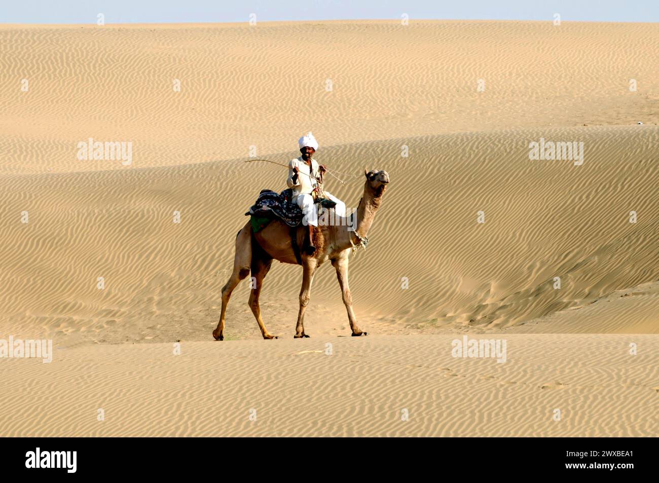 Camel rider travelling in the Thar desert, Sam, near Jaisalmer, A man ...