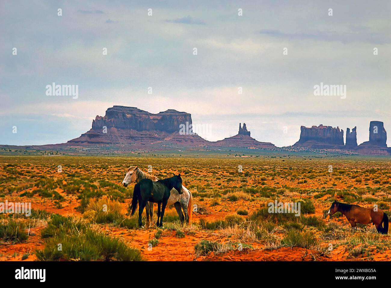 Monument Valley, Navajo Land, Colorado Plateau, under Navajo ...